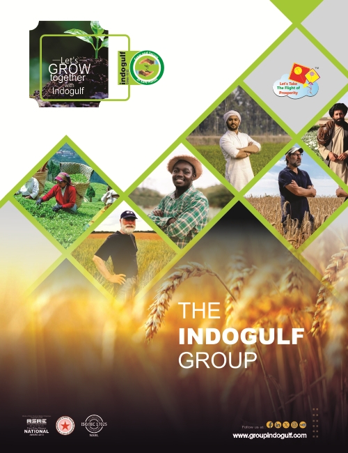 Publications & Periodicals